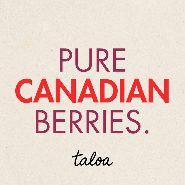 Wild Blueberry Powder 150 g | Nova Scotia, REVdry – J&J Aronia